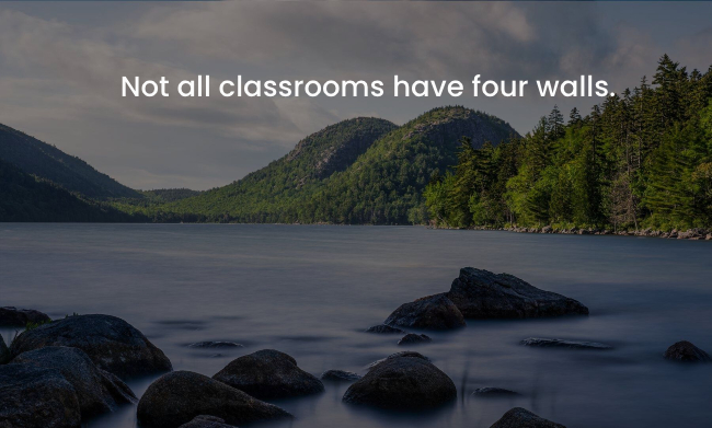 Online bijles frans, engels, nederlands, wiskunde, economie